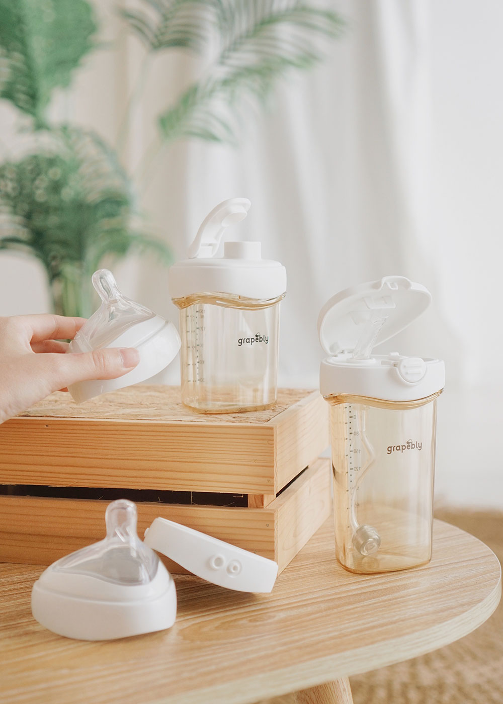 Grapebly | Your Best Anti Colic PPSU Feeding Bottle